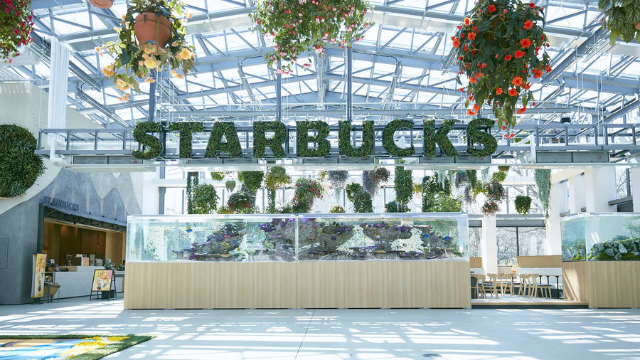 22 of the most beautiful Starbucks stores in the world today