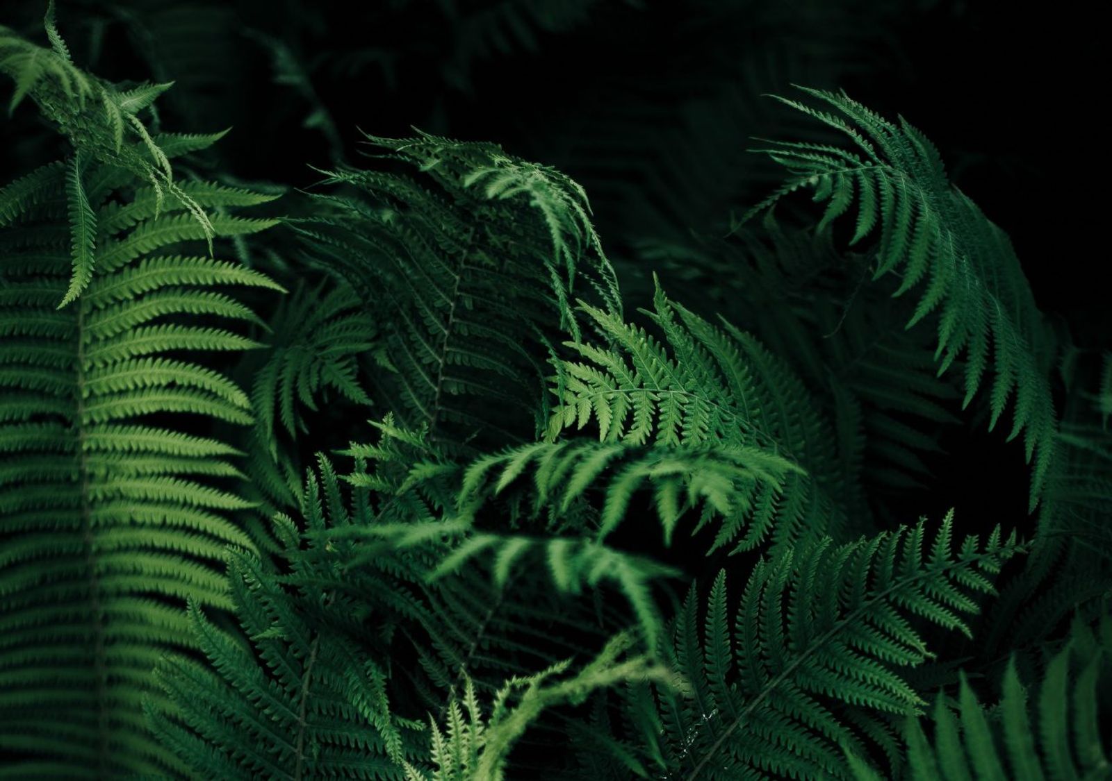 Most lucky and unlucky colours for Virgo zodiac sign to love and avoid