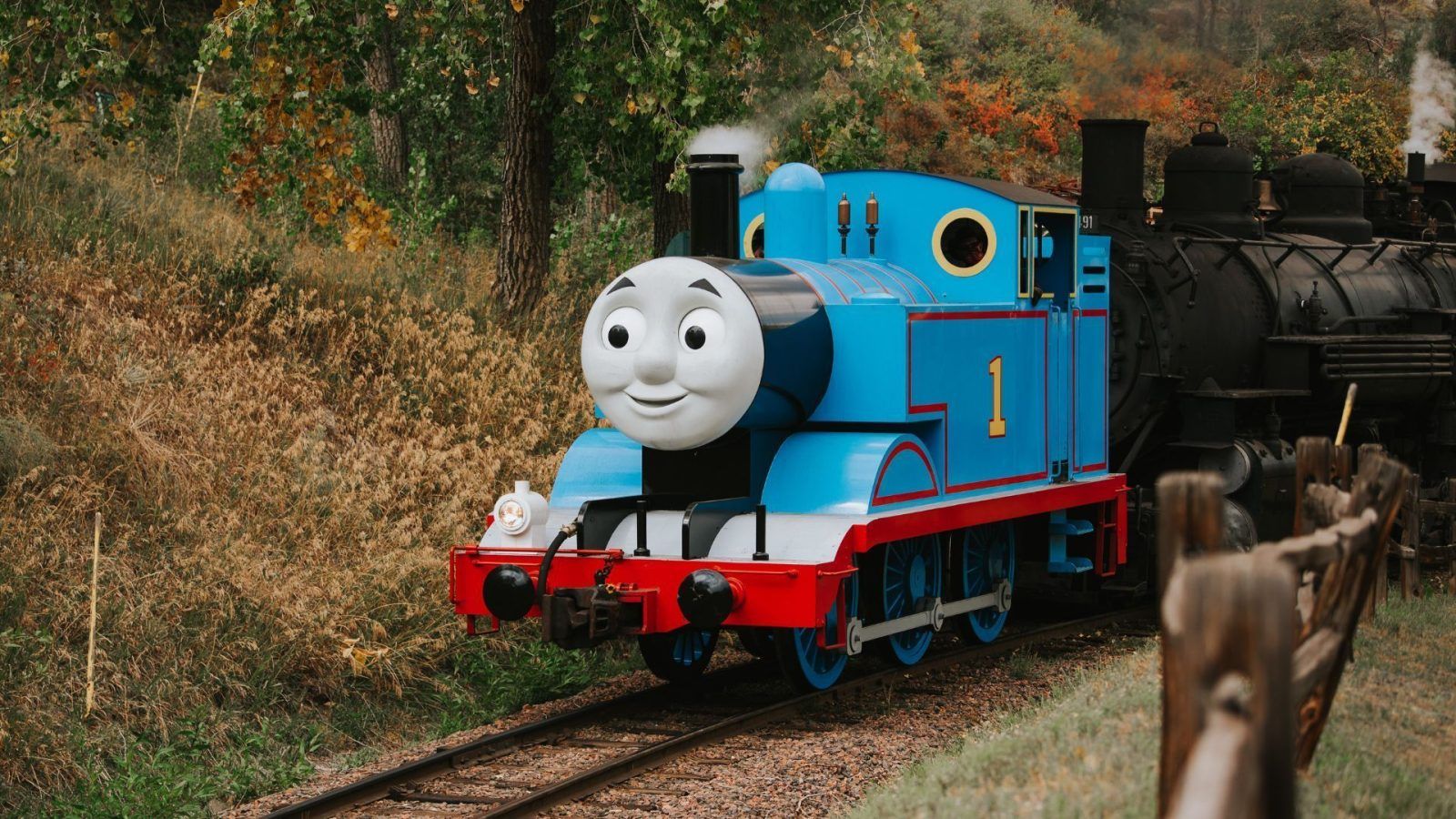 10 uniquely-themed trains in Japan that are right on track