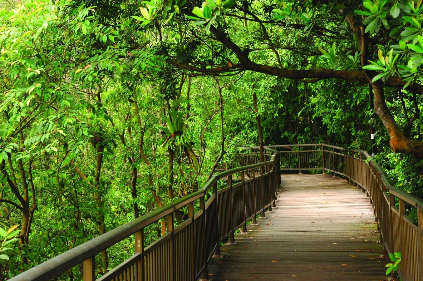 The best food to feast on after a hike around the Southern Ridges