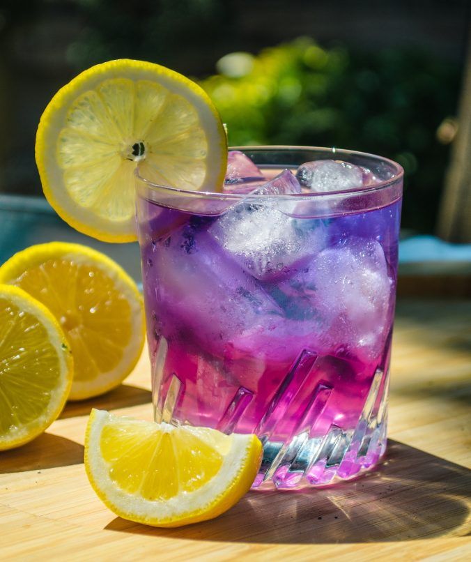 6 health benefits of butterfly pea flower and blue tea you'll love