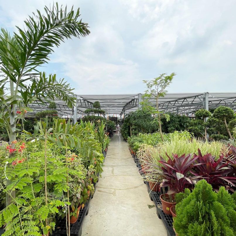 Far East Flora opens a garden-themed cafe at their new Clementi outpost