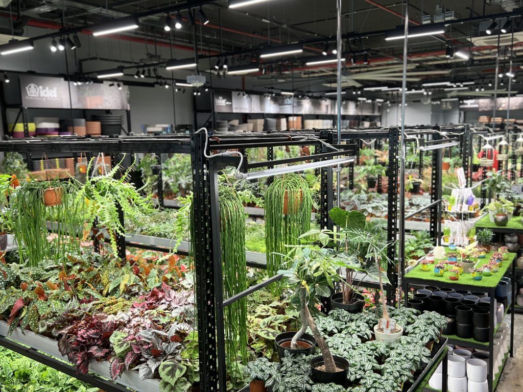 Far East Flora opens a garden-themed cafe at their new Clementi outpost