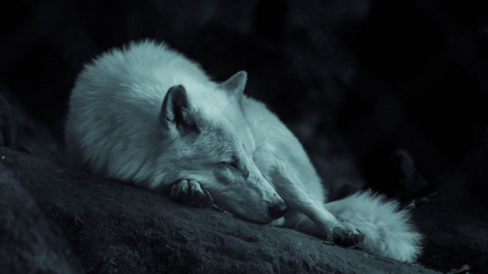 All the 12 full moon names for 2024 and what they mean