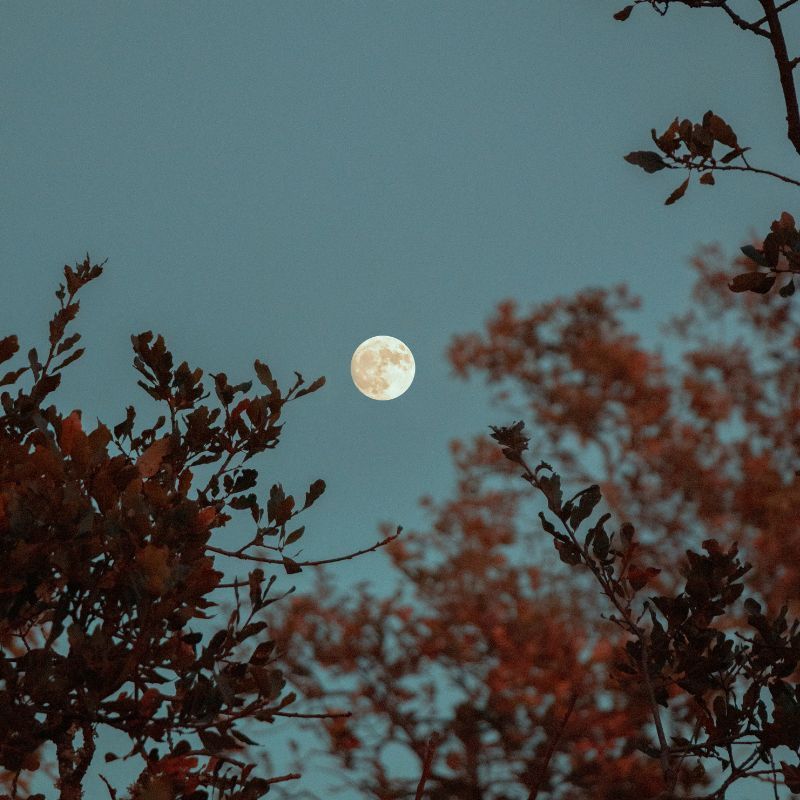 All the 12 full moon names for 2024 and what they mean