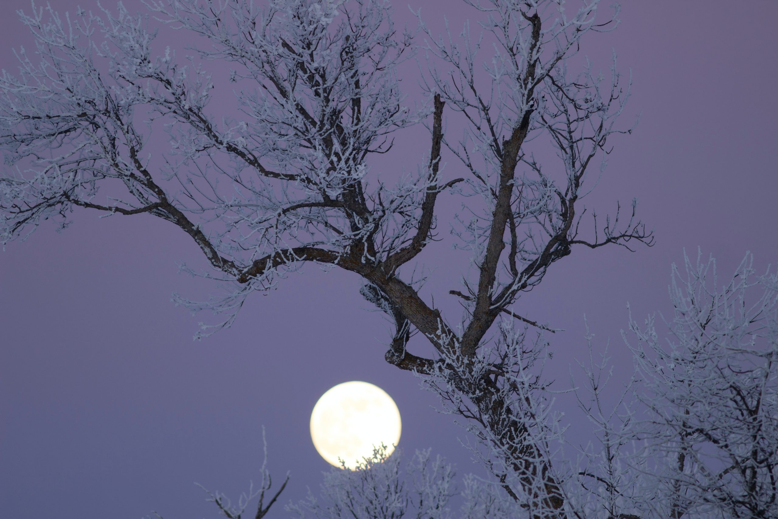 December Cold Full Moon 2023: Meaning and how it affects zodiac signs