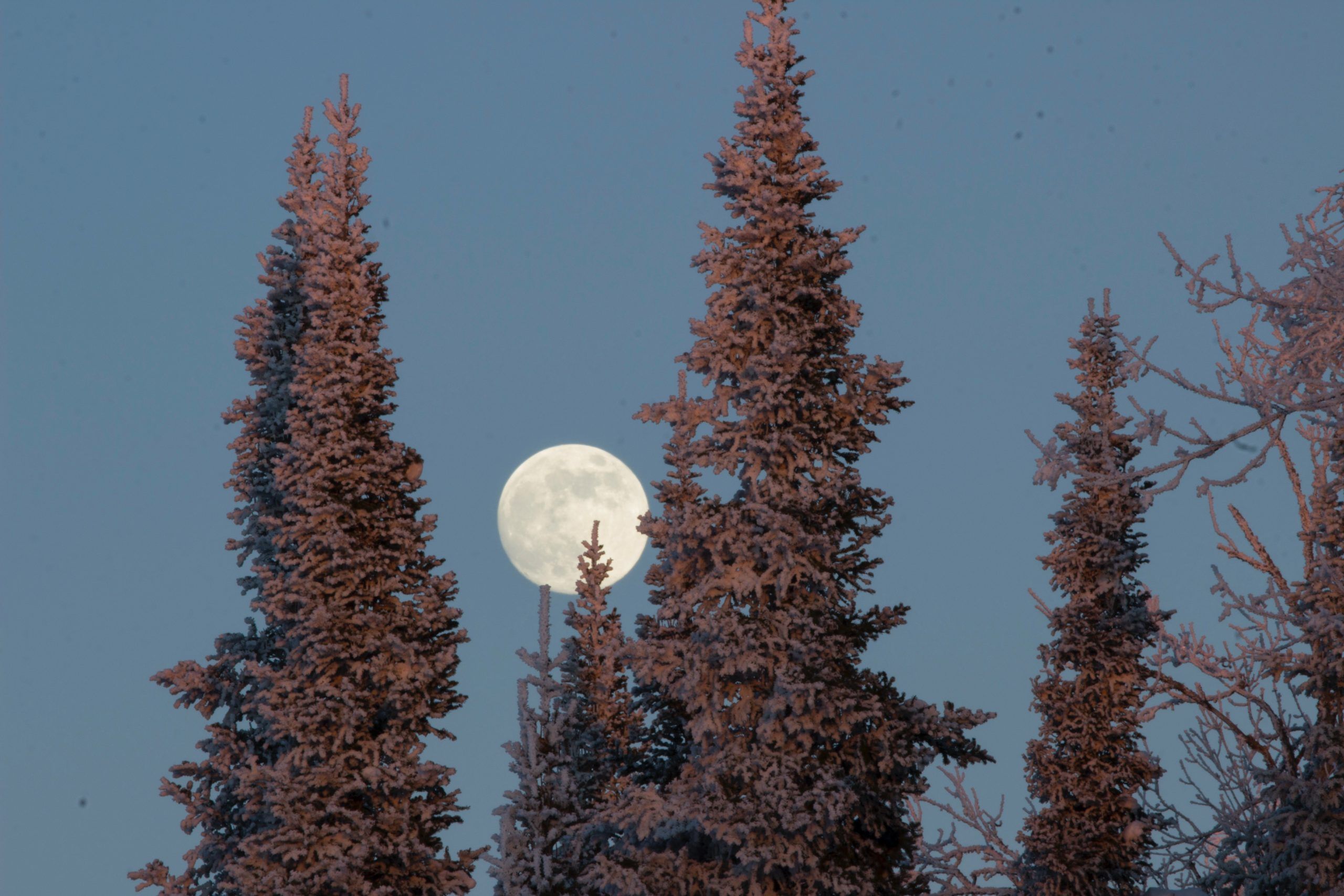 December Cold Full Moon 2023: Meaning and how it affects zodiac signs