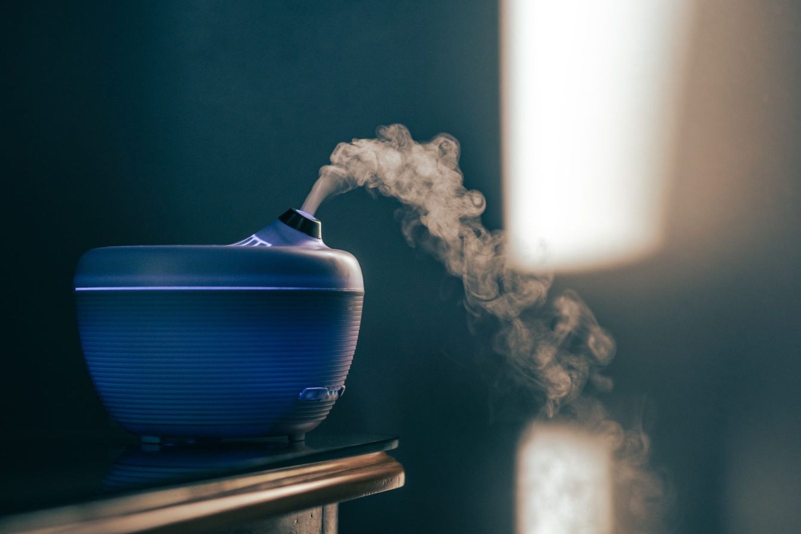 6 best humidifiers in 2024 for cold and dry weather
