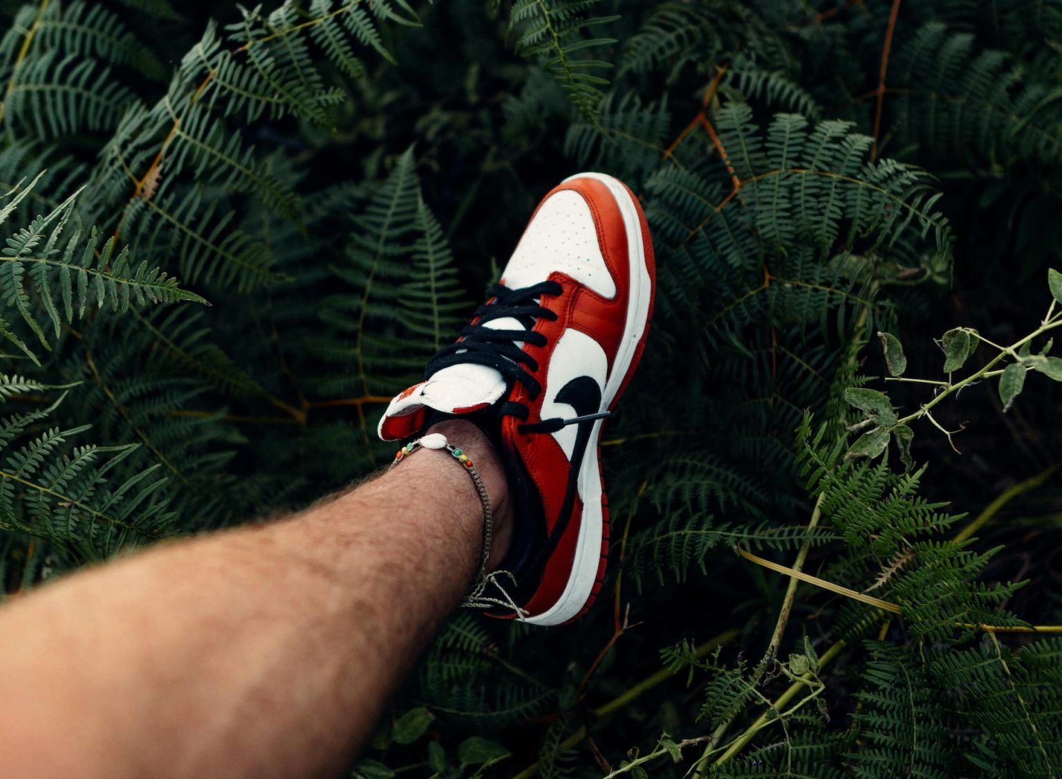 10 best and most popular Nike Dunks of all time