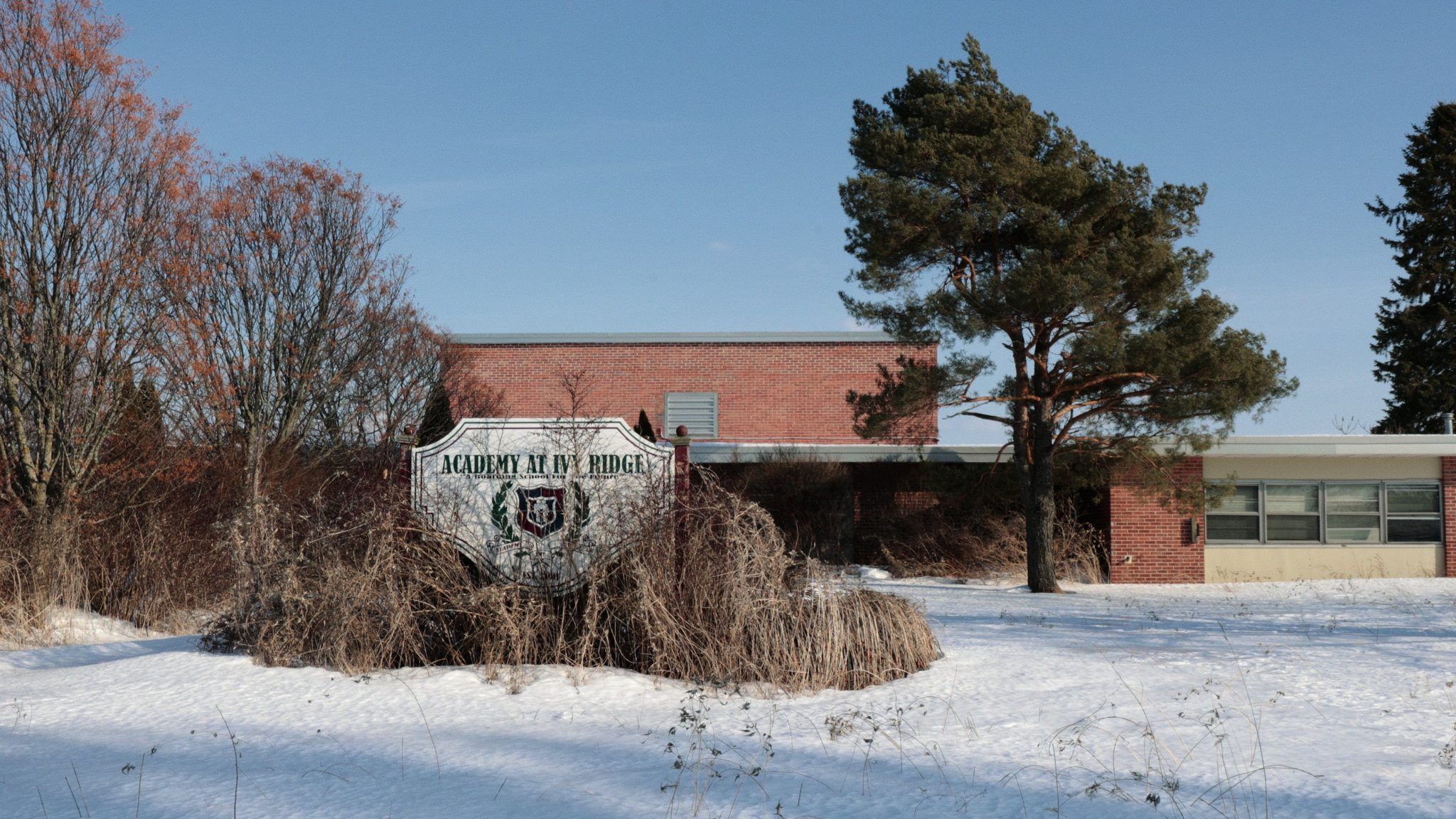 The Program: Cons, Cults, and Kidnapping on Netflix: True story & more