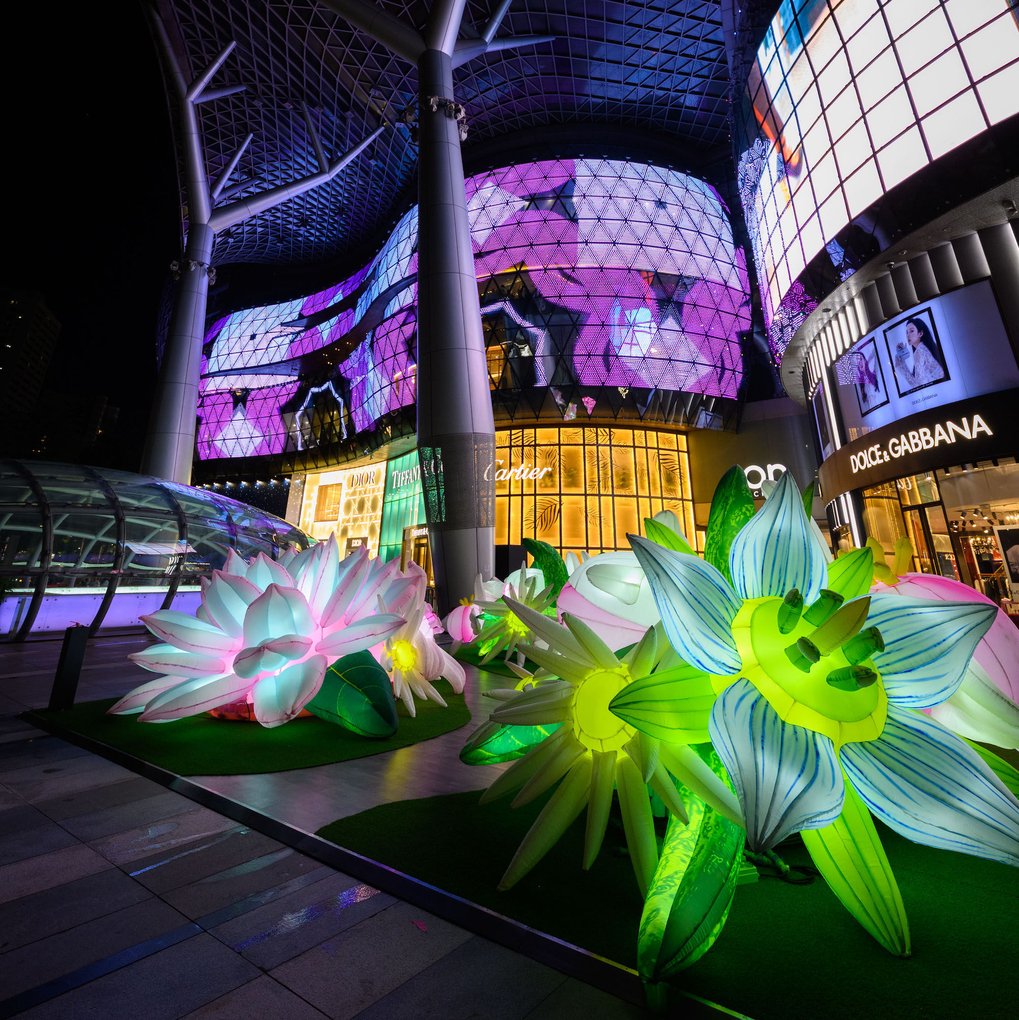Garden Luminescence: ‘Lost in Enchantment’ lights up ION Orchard with ...