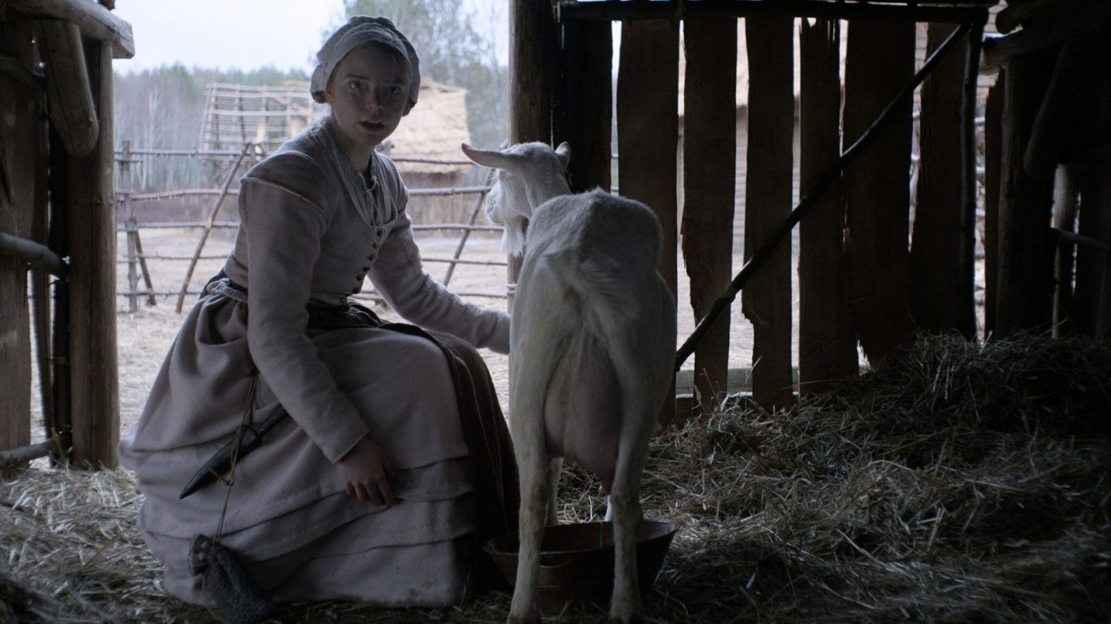 Anya Taylor-Joy's net worth in 2024: Details about the 'Furiosa' star