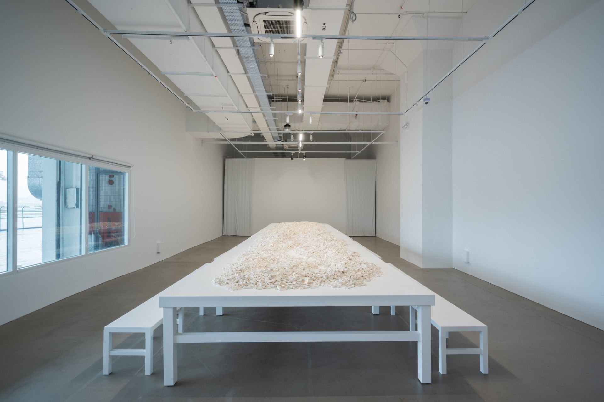 'Olafur Eliasson: Your curious journey' exhibition debuts at SAM