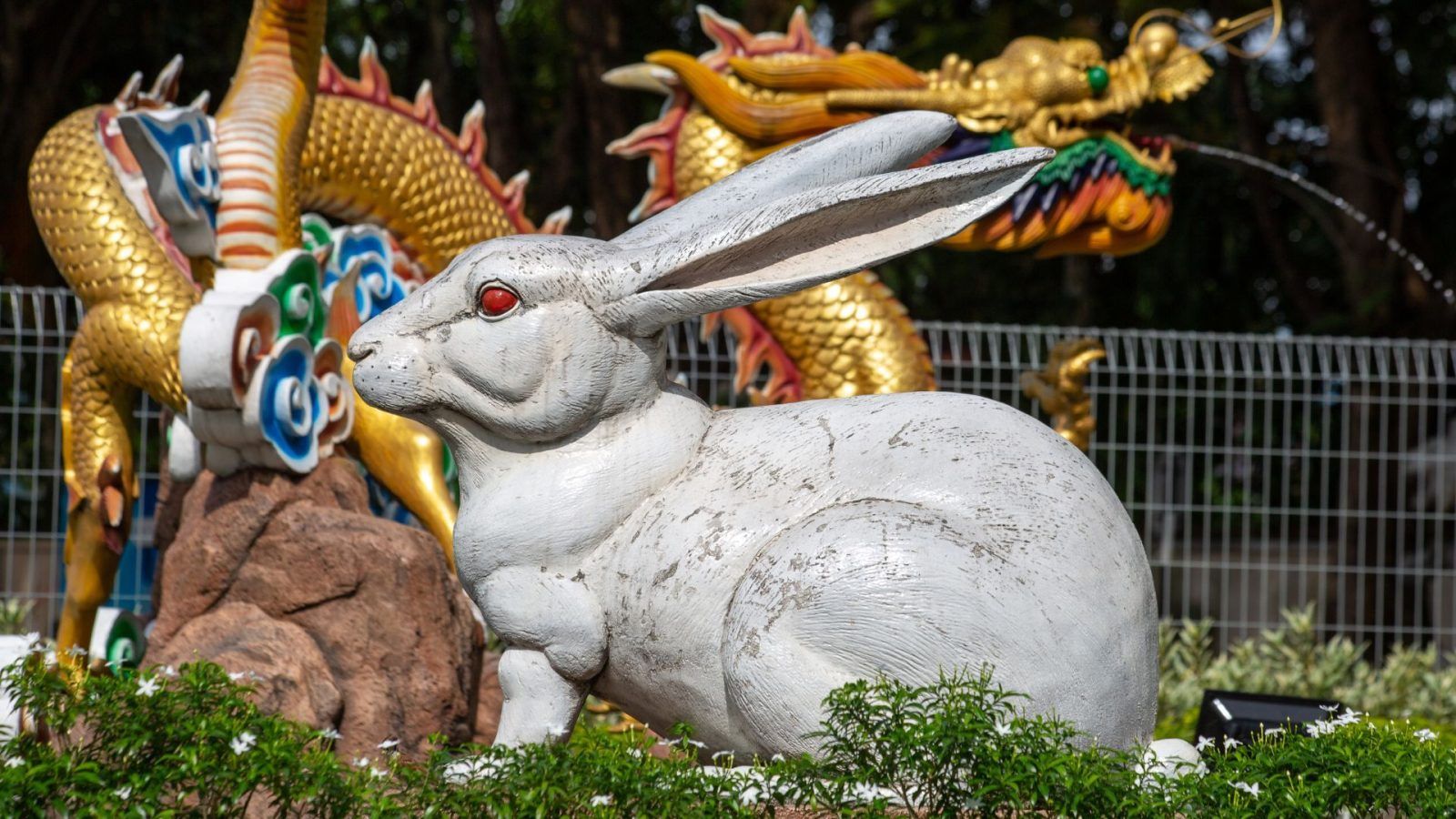 Know the Chinese zodiac horoscope for August | Lifestyle Asia Singapore