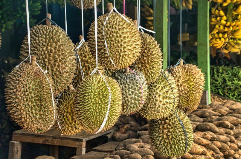 Malaysia durian season: Popular varieties and how to pick the best fruit