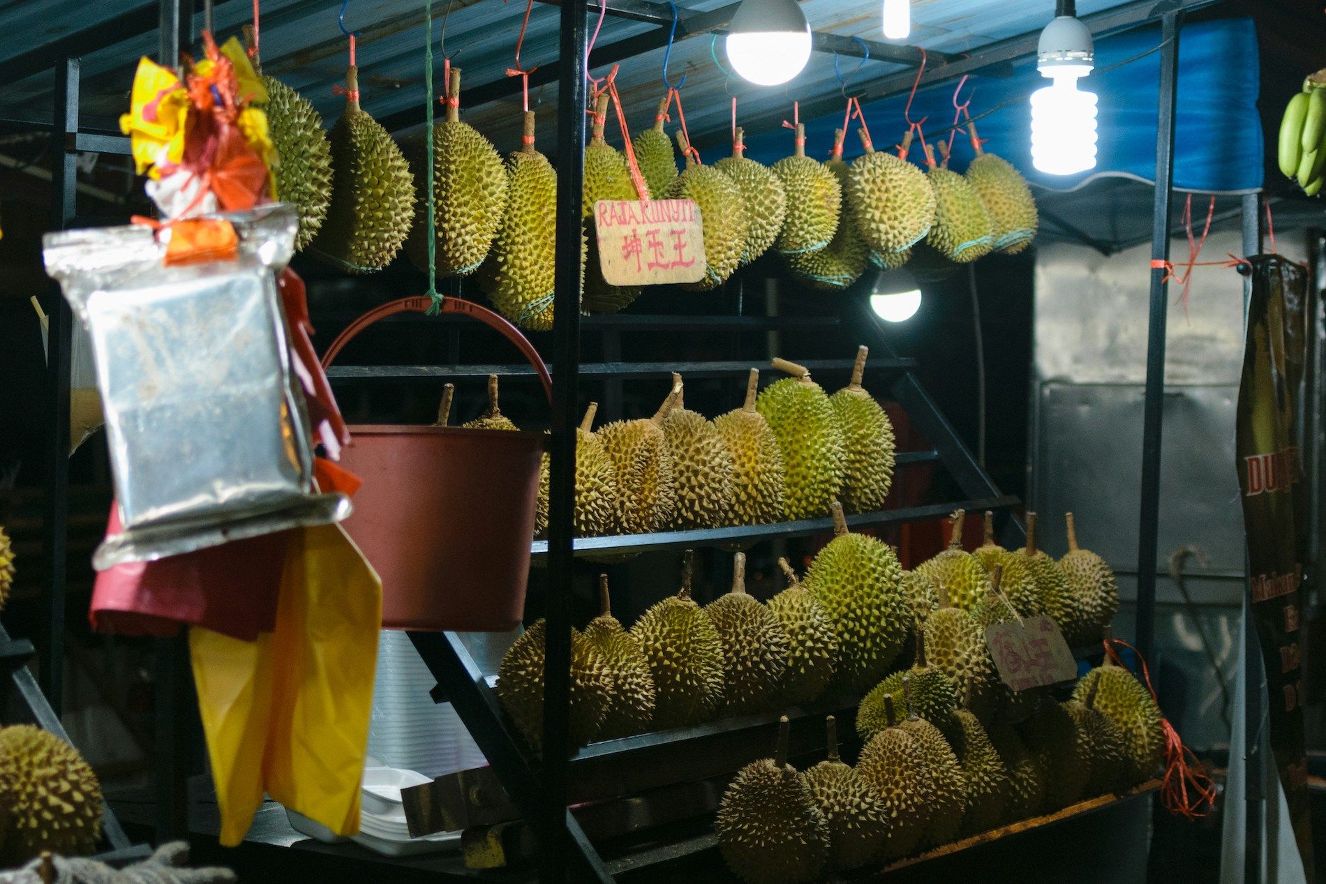 Malaysia durian season: Popular varieties and how to pick the best fruit