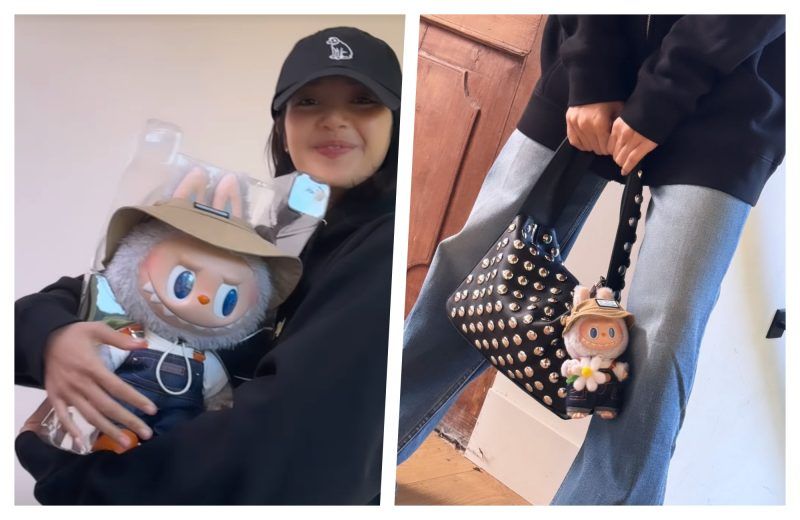 Most popular Labubu: 6 most collectible series, from Camping to Ultraman