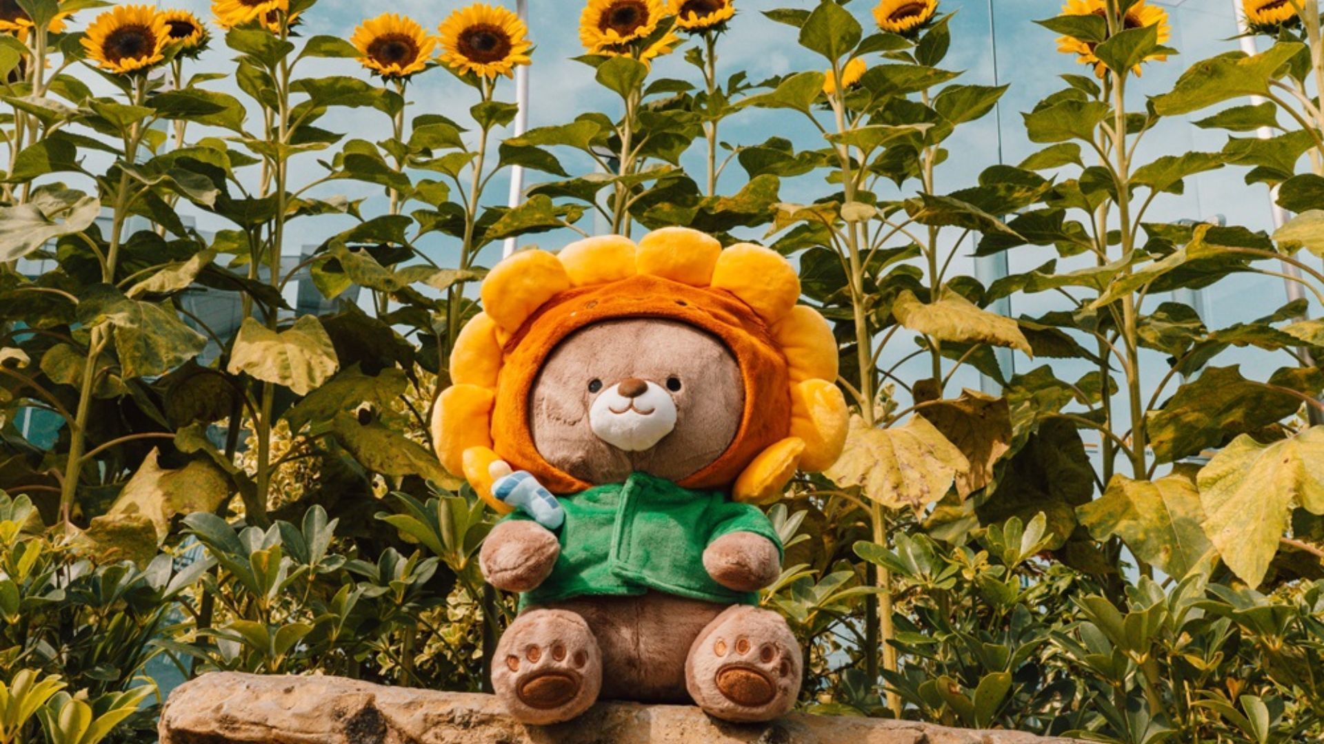 Changi Airport unveils the world's largest airport sunflower showcase
