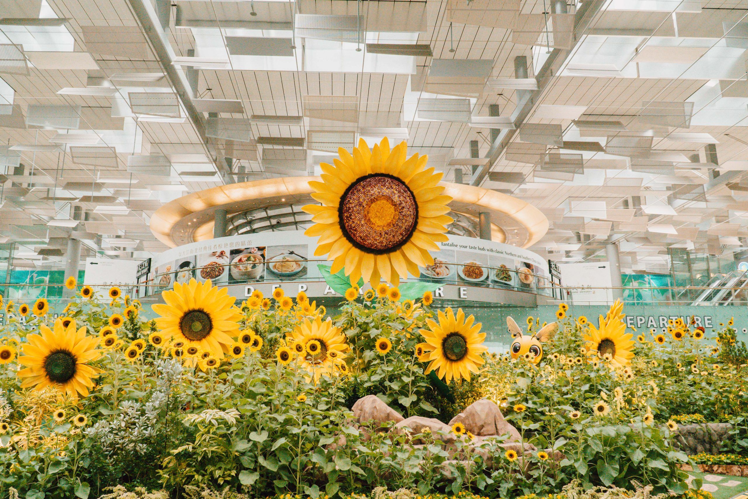 Changi Airport unveils the world's largest airport sunflower showcase