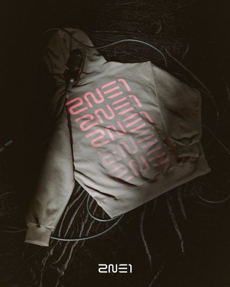 2NE1 and MUSINSA to collaborate on Seoul 2024 concert merchandise