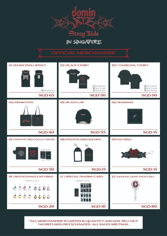 Stray Kids dominATE World Tour 2024 Singapore concert survival guide