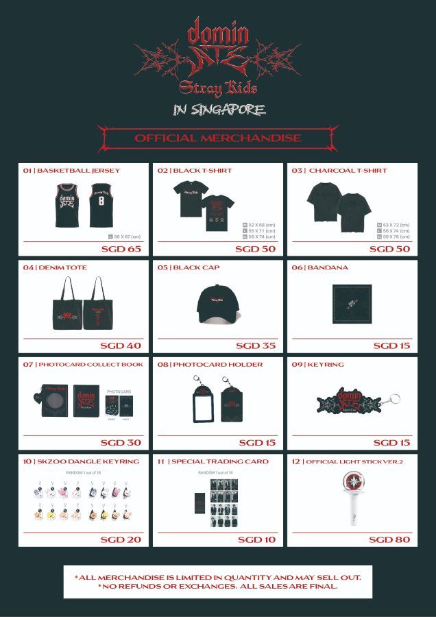 Stray Kids dominATE World Tour 2024 Singapore concert survival guide