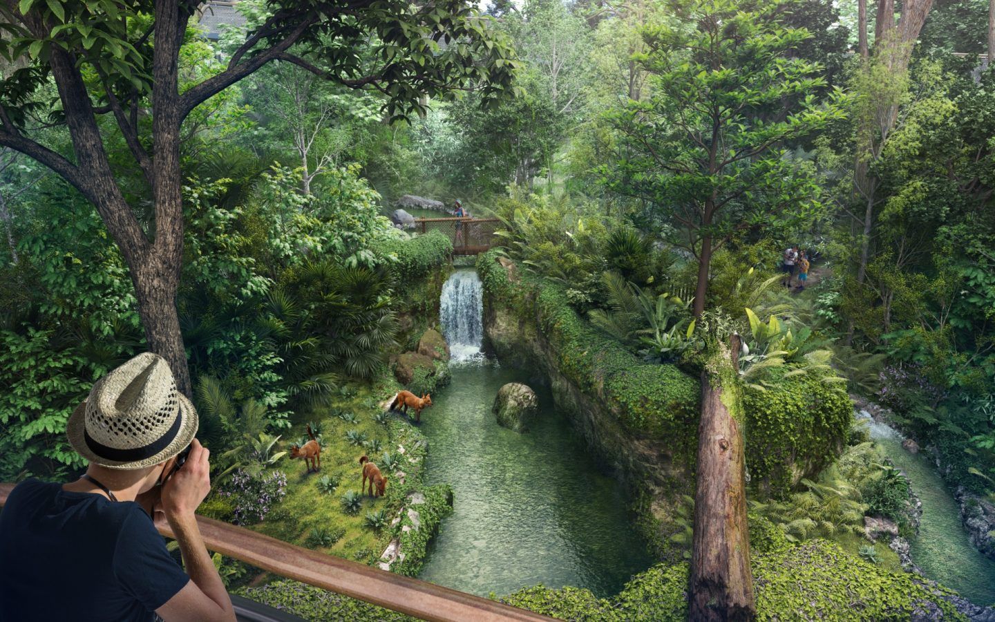 Rainforest Wild Asia: What to know about the new Singapore wildlife park