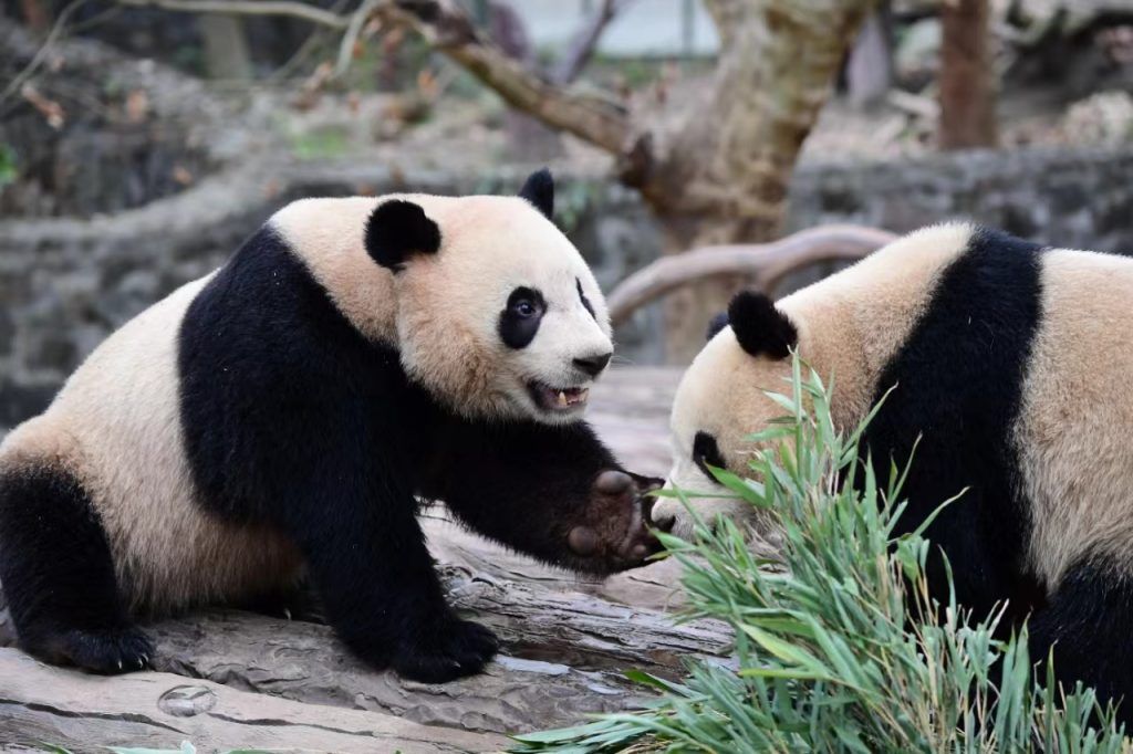 What's On | Lifestyle Asia Singapore