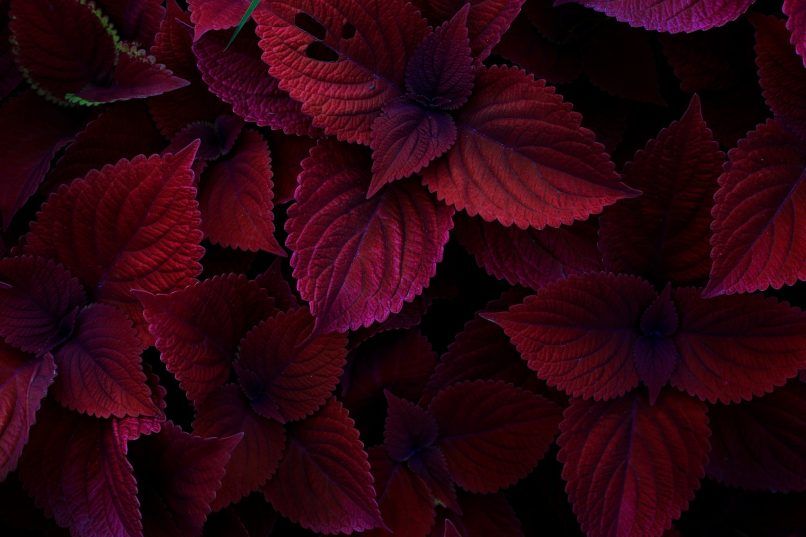 Lucky colour for Saturday, according to your zodiac | Lifestyle Asia SG