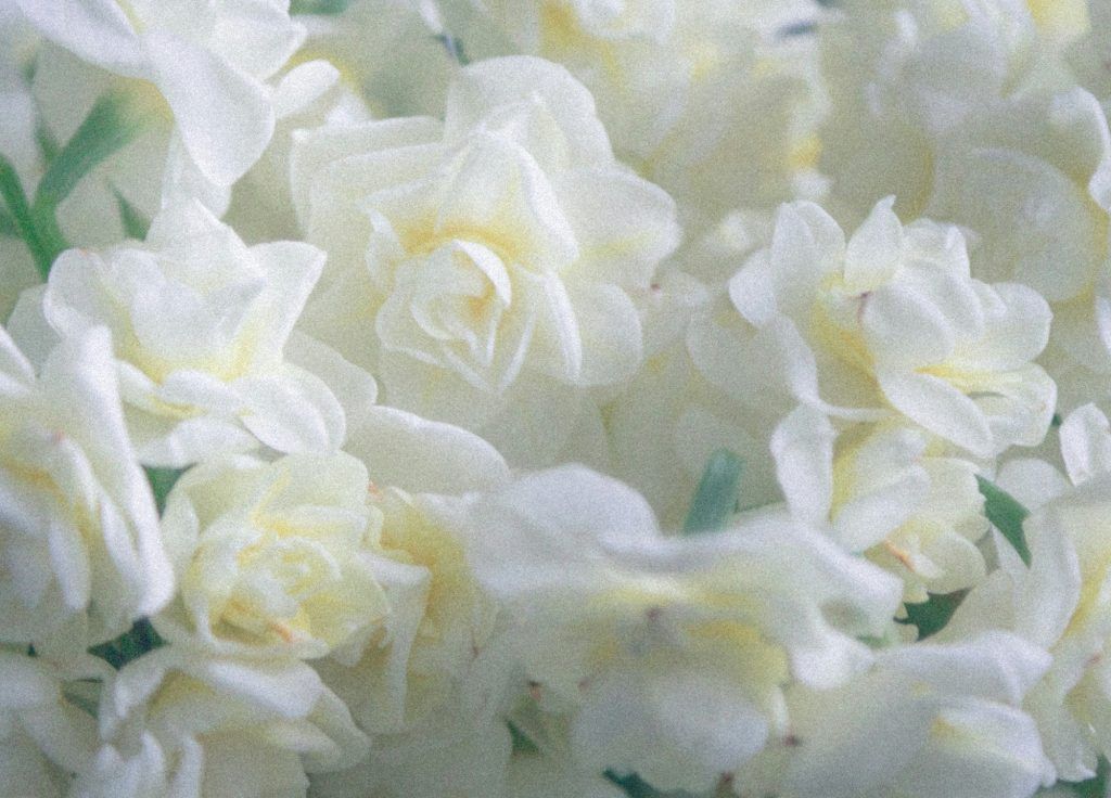 Lucky colour for Friday based on zodiac signs | Lifestyle Asia Singapore