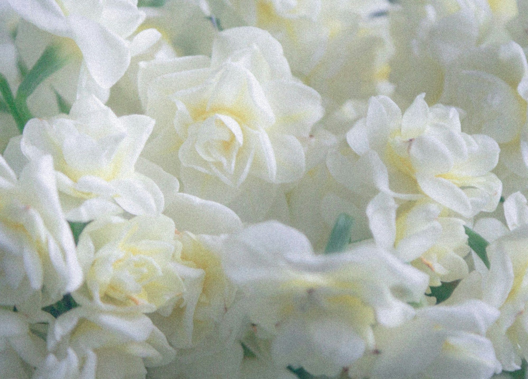 Lucky colour for Friday based on zodiac signs | Lifestyle Asia Singapore