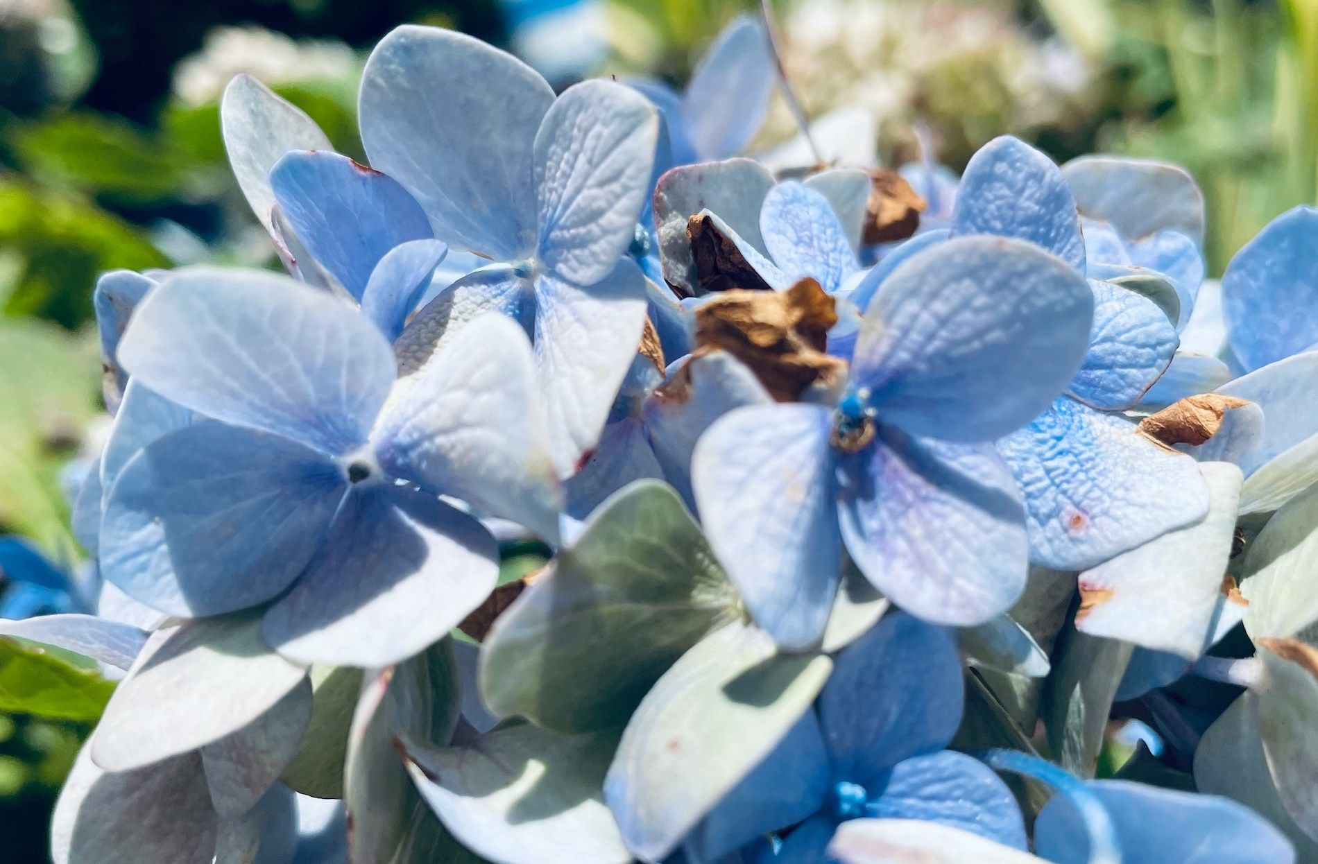 Lucky colours for all zodiac signs in 2025 | Lifestyle Asia Singapore