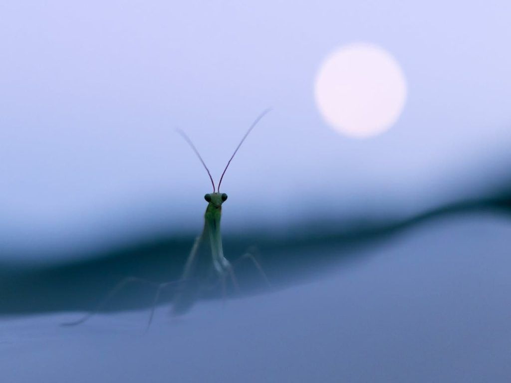 All full moons of 2025 and their effects on zodiacs | Lifestyle Asia ...