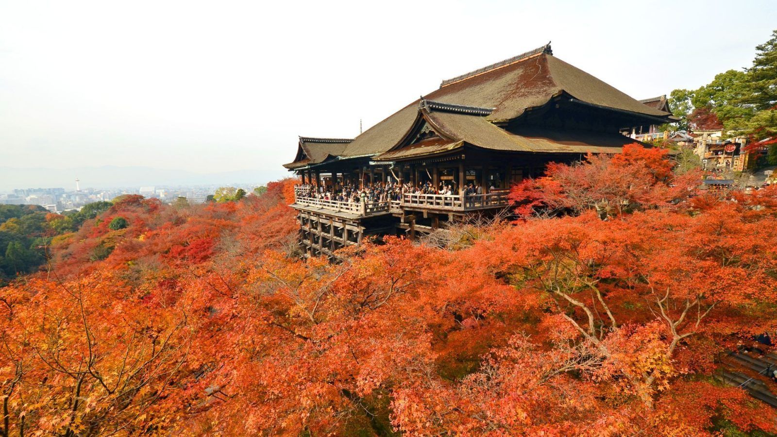 Best time to visit Japan in 2025: A seasonal guide of where to go and ...
