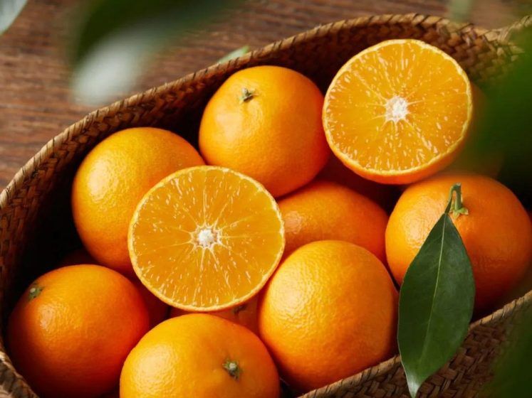 6 of the most popular types of Mandarin oranges for Lunar New Year
