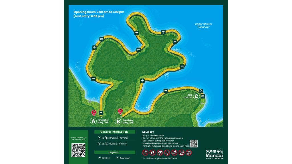 What to expect from the Mandai Boardwalk at Mandai Wildlife Reserve ...