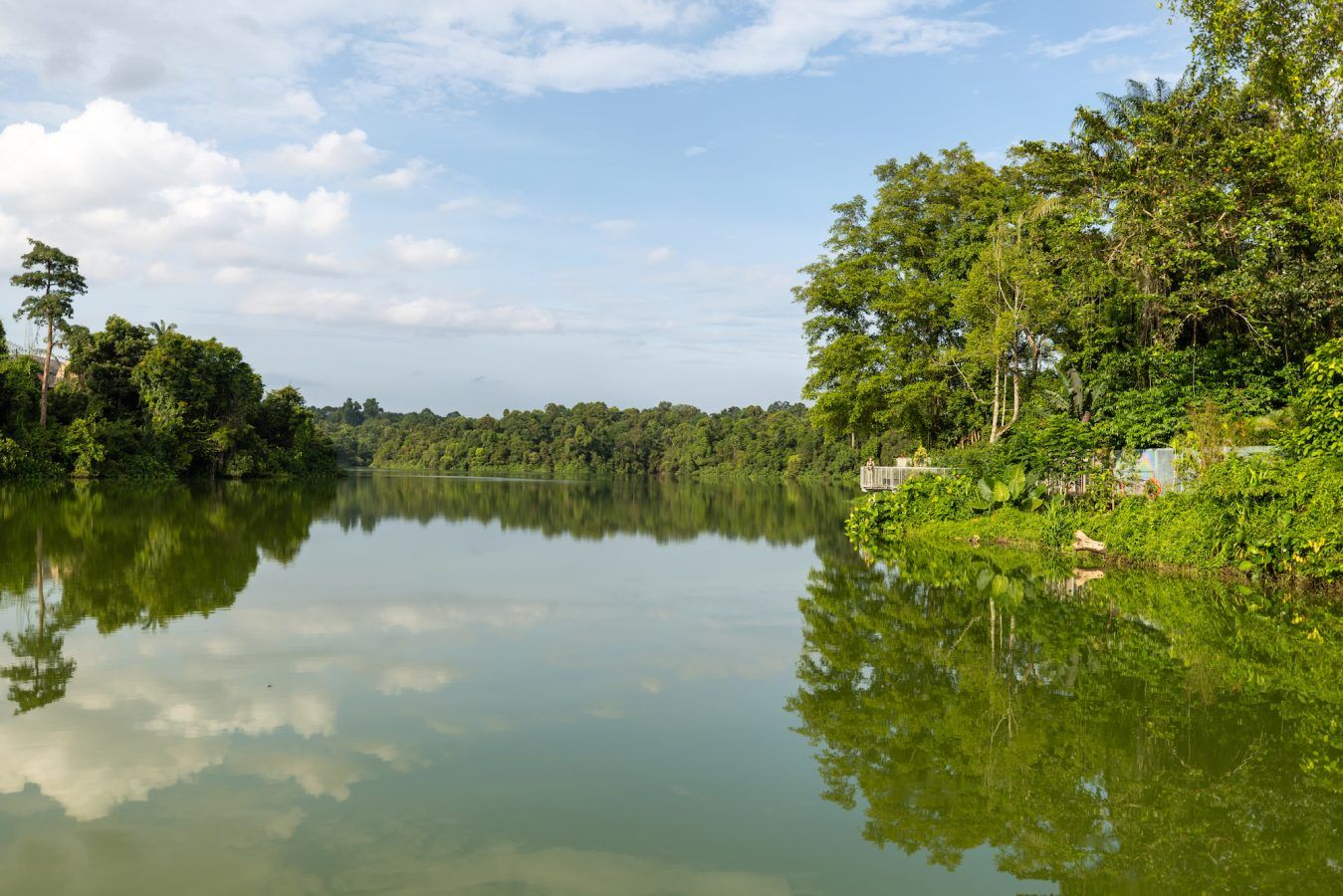 What to expect from the Mandai Boardwalk at Mandai Wildlife Reserve ...