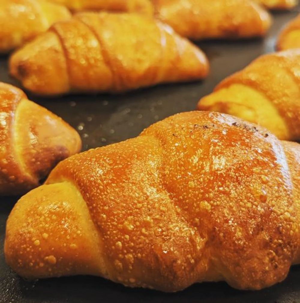 Shio pan in Singapore: Where to find the best Japanese salted butter rolls