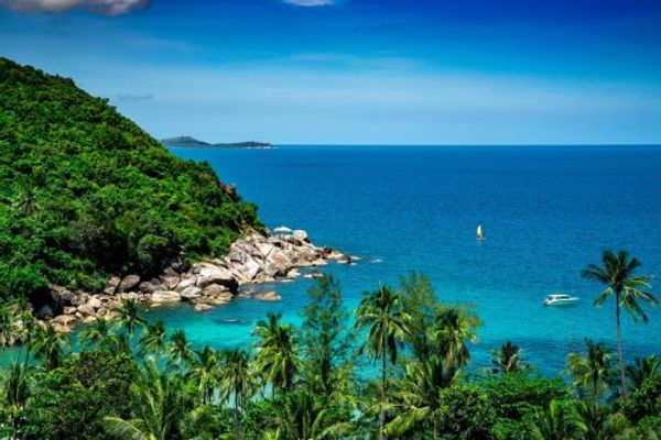 7 best Thai drinks to try in Thailand, from iced tea to roselle juice