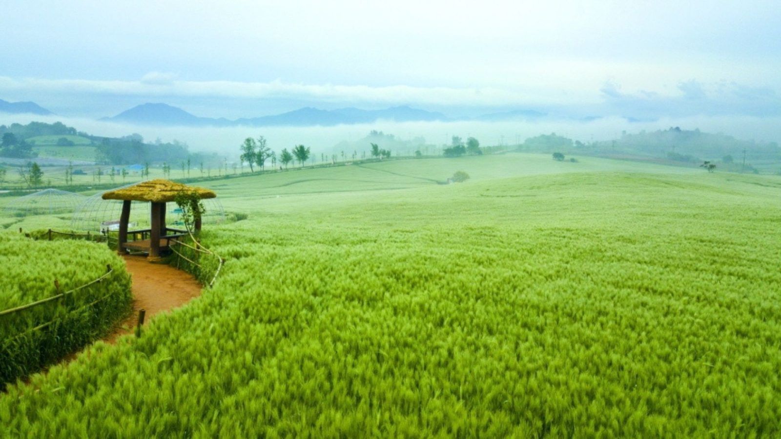 'When Life Gives You Tangerines' filming locations you can visit ...