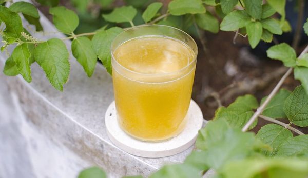 Insect cocktails: Singapore bars using mealworm and ants in their drinks