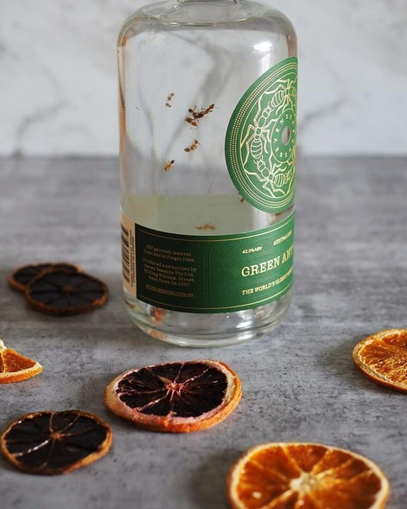 Insect cocktails: Singapore bars using mealworm and ants in their drinks