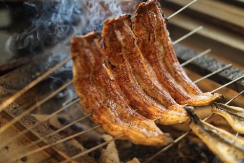 Unagi don in SIngapore: where to go for the best bowls of unadon