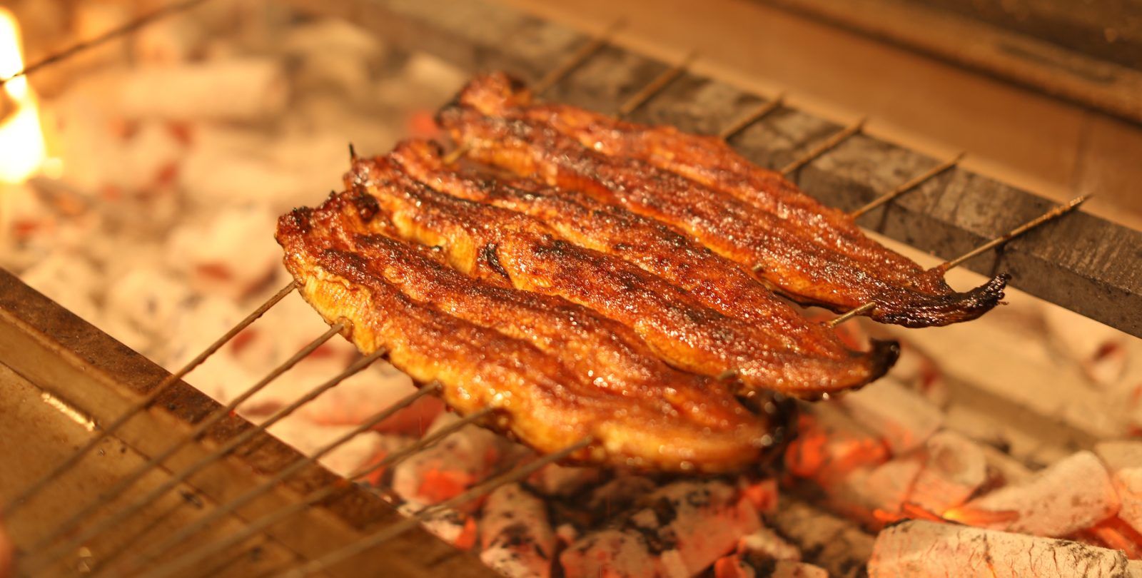 Unagi don in SIngapore: where to go for the best bowls of unadon