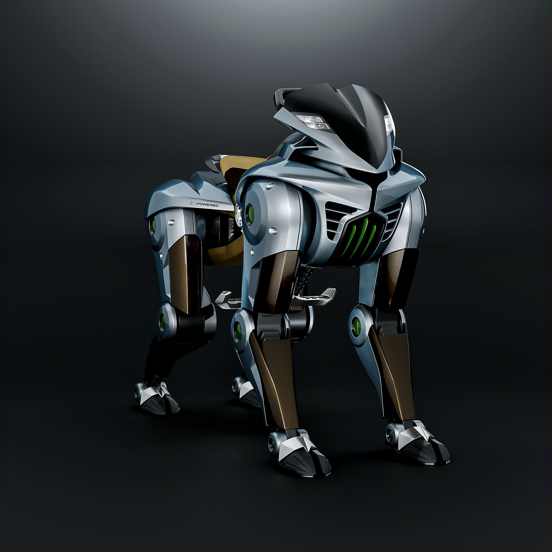 The Four-Legged Kawasaki CORLEO Off-Road Vehicle: Details within | LSA SG