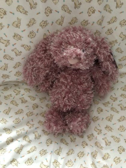 7 rarest and most popular Jellycat plushies to collect now | Lifestyle ...