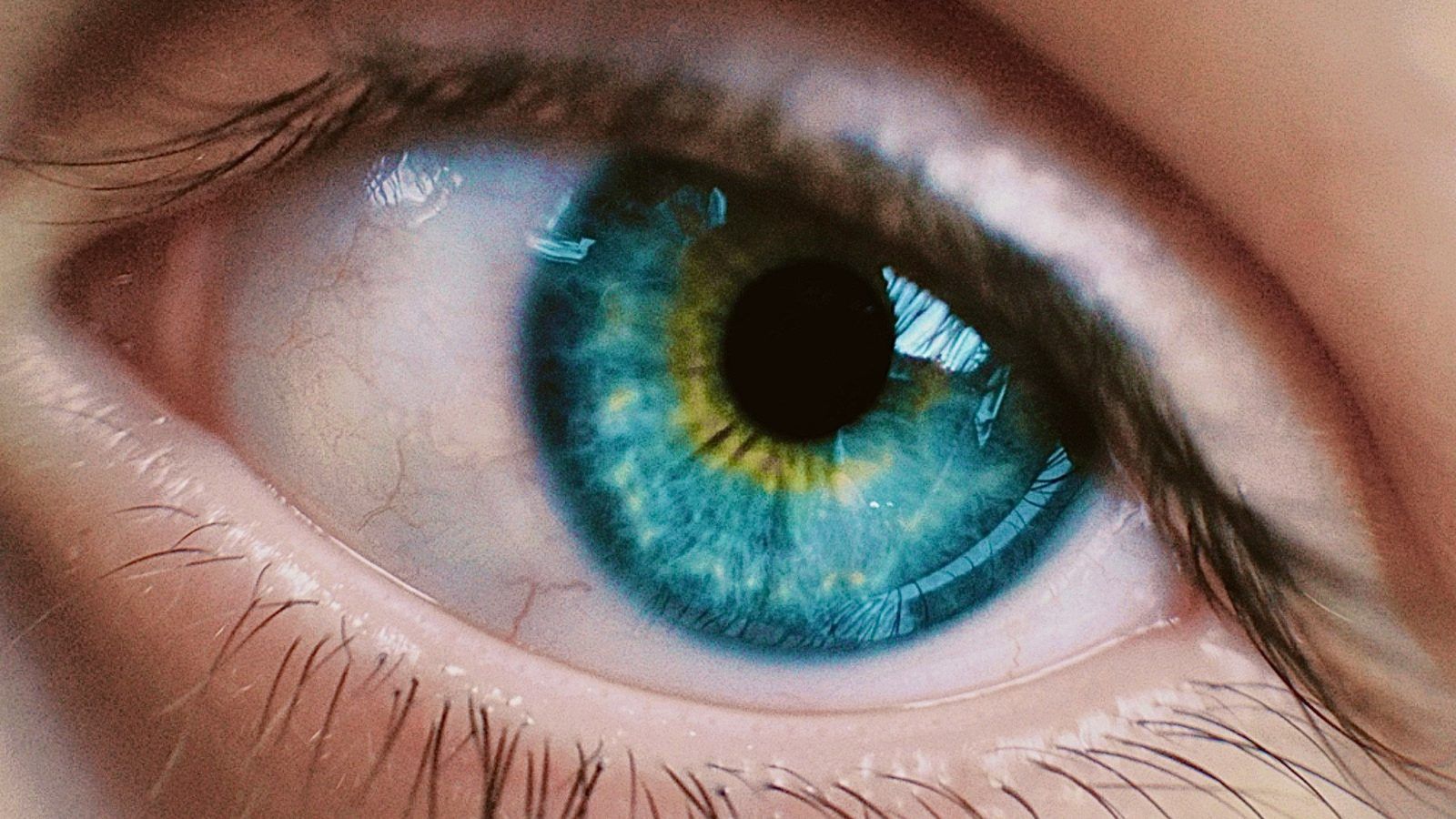 Scientist have discovered a new colour called Olo, but it looks awfully ...