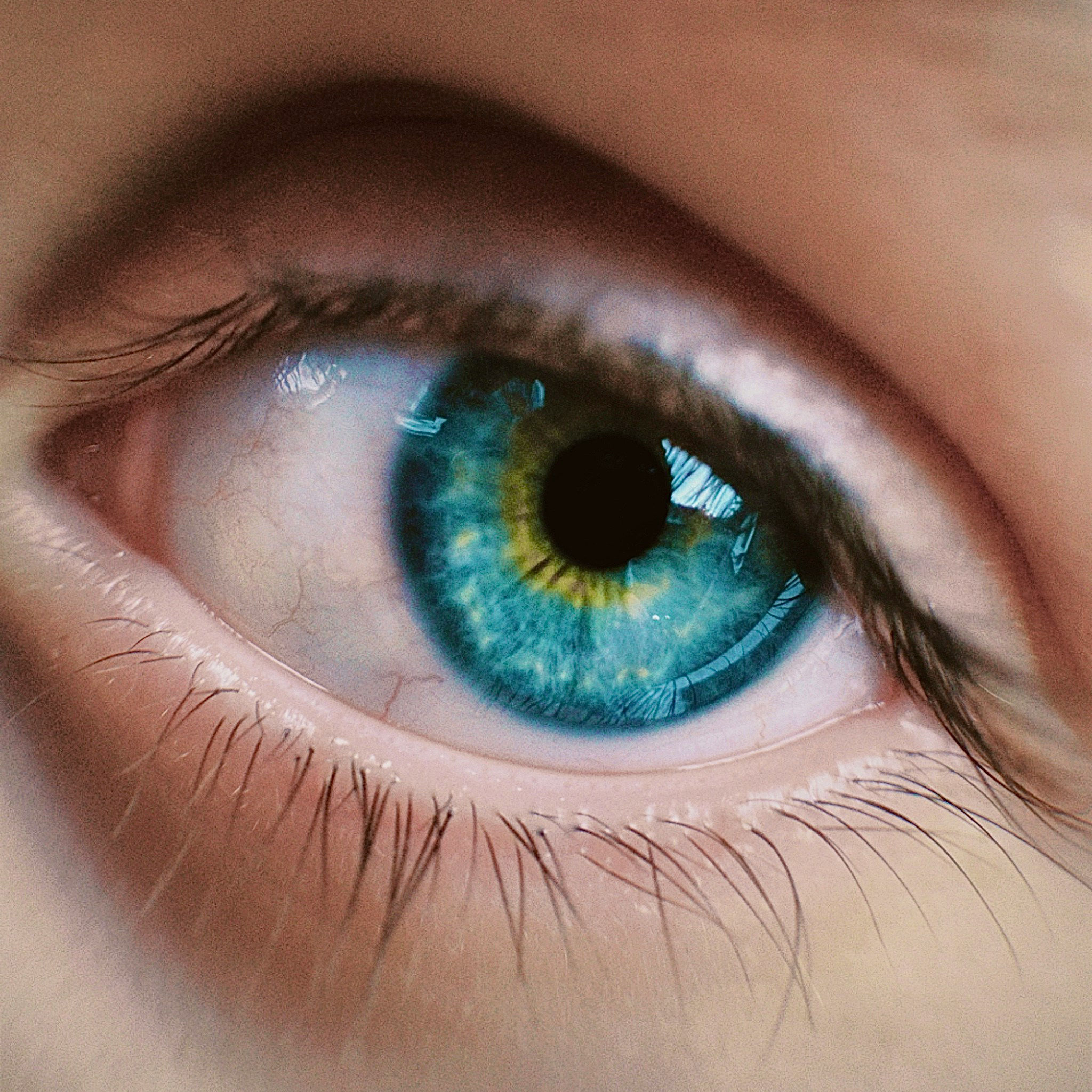 Scientist have discovered a new colour called Olo, but it looks awfully ...