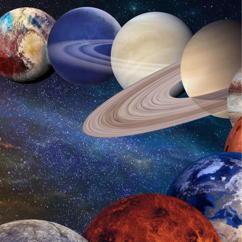 Primal astrology: Find out your primal spirit animal | LSA Singapore