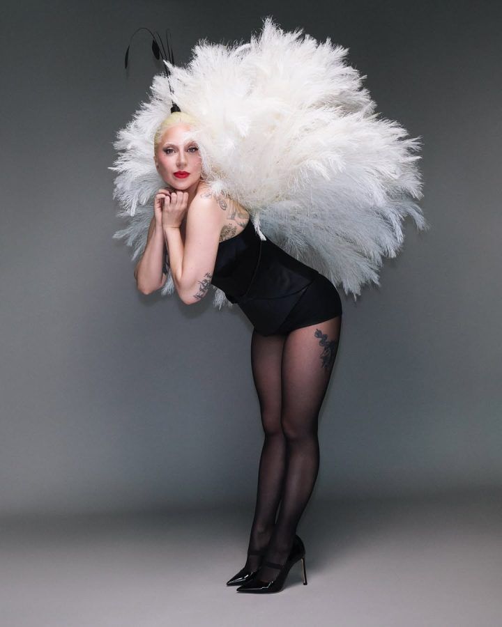 What is the net worth of Lady Gaga in 2025: MAYHEM Tour, movie earnings ...